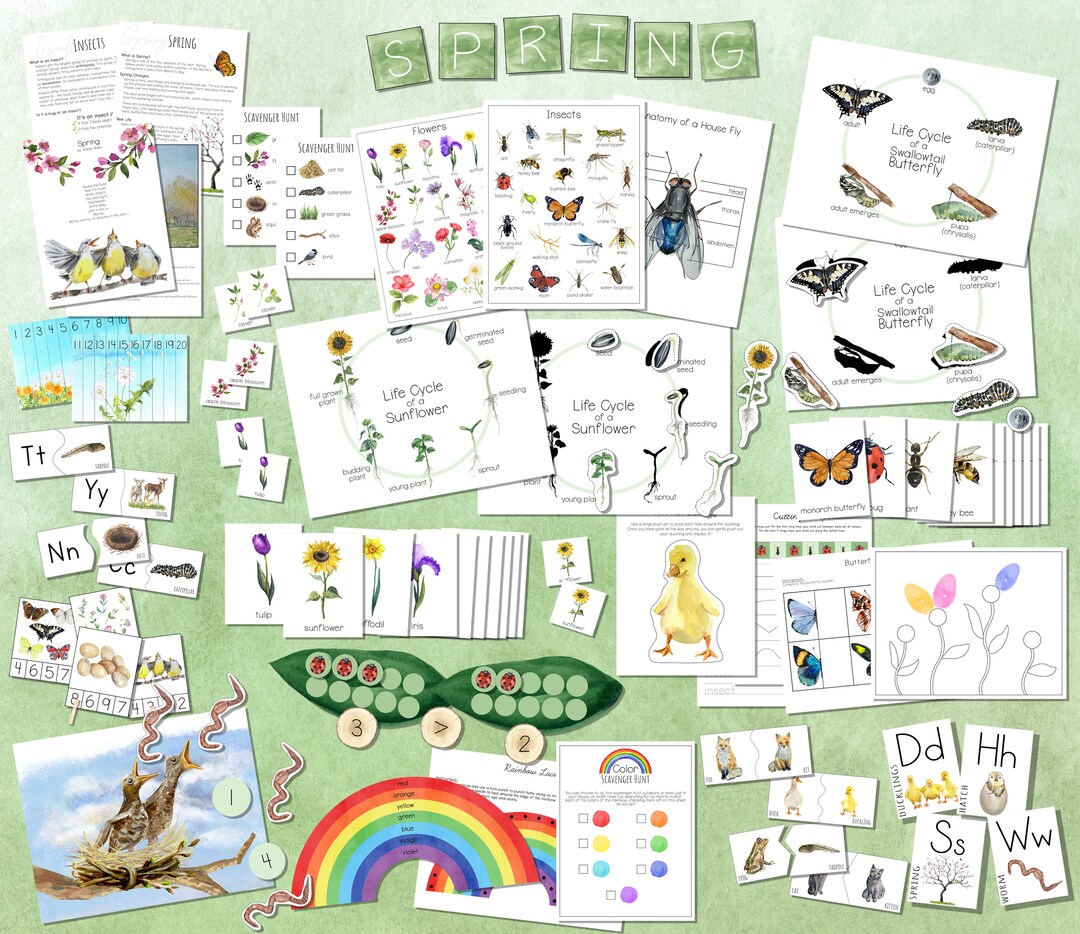 SPRING Early Learning Bundle, Printable, Nature Unit Study for ...
