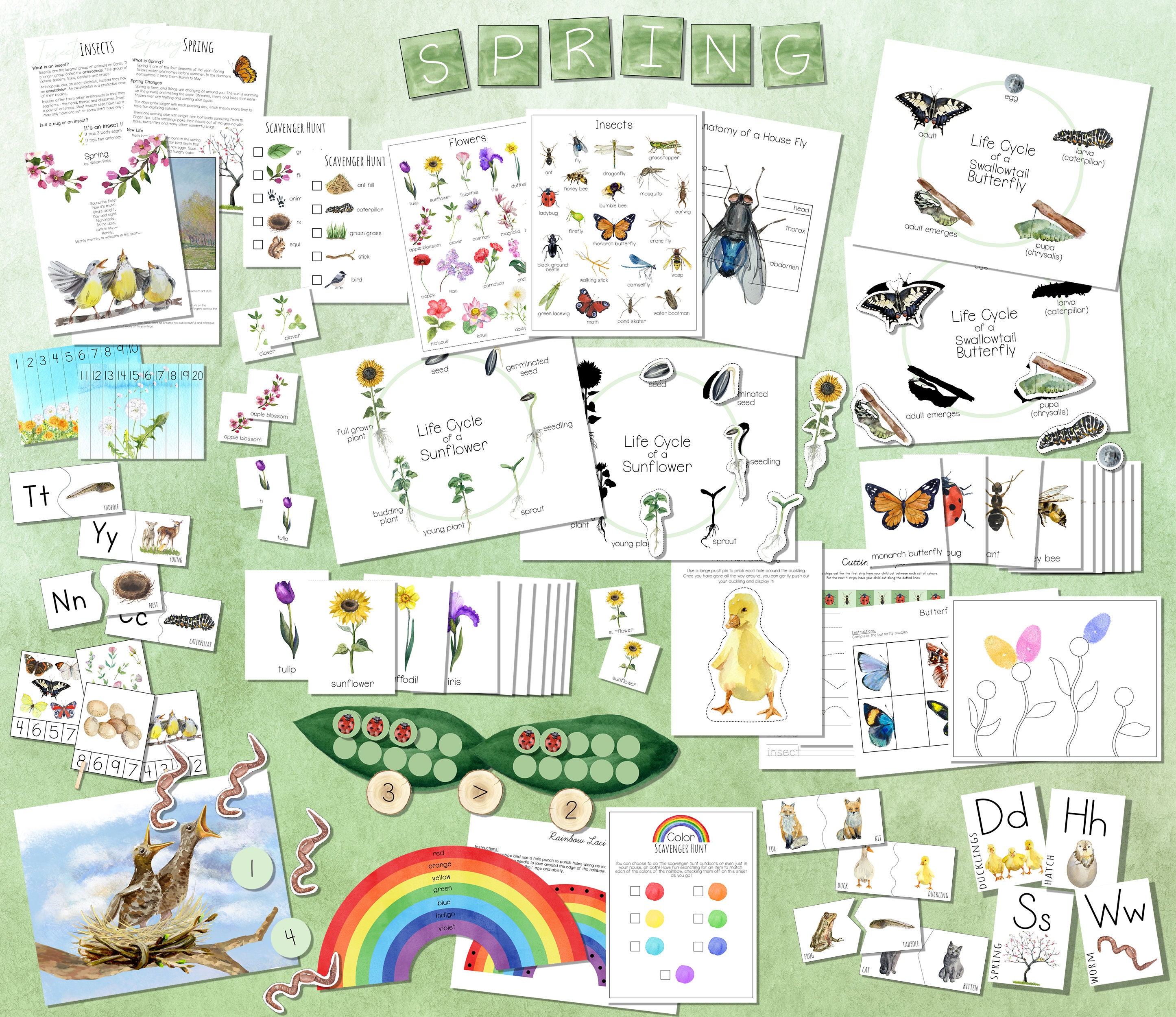SPRING Early Learning Bundle Printable Nature Unit Study for - Etsy