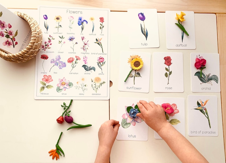 FLOWER Flash Cards and Poster, Printable, Safari Ltd Flower Toob ...