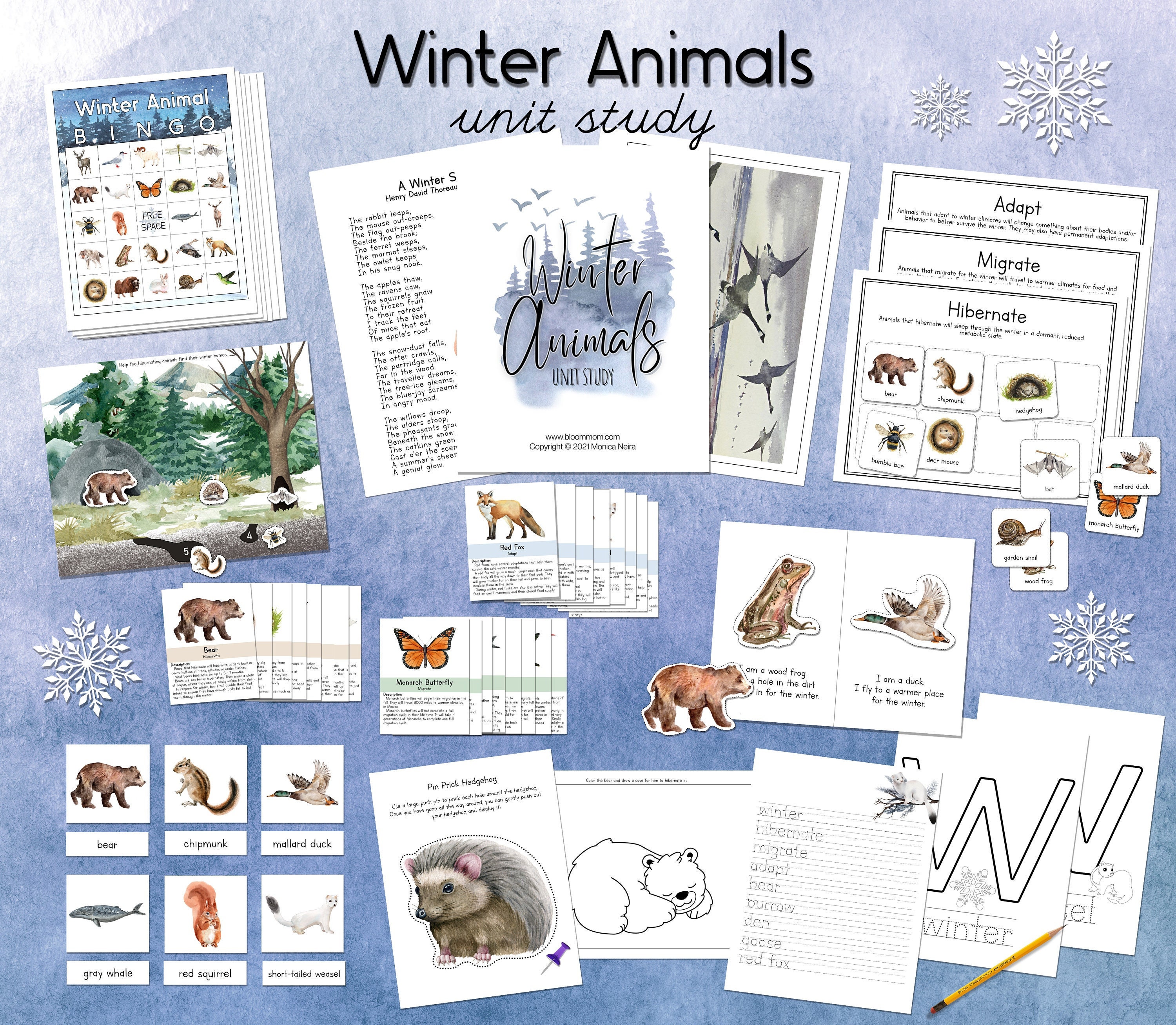 Winter Animals Unit Study Montessori and Charlotte Mason | Etsy
