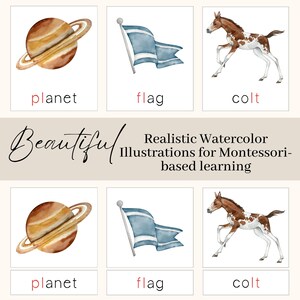 Montessori Blue Series 3 Part Cards | Phonics Lists | Printable Phonics ...