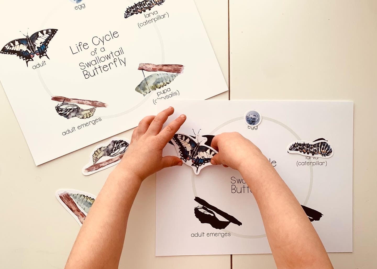 SPRING Early Learning Bundle Printable Nature Unit Study for - Etsy