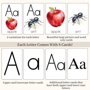 Alphabet With Pictures Flash Cards, Printable Phonetic Alphabet ...