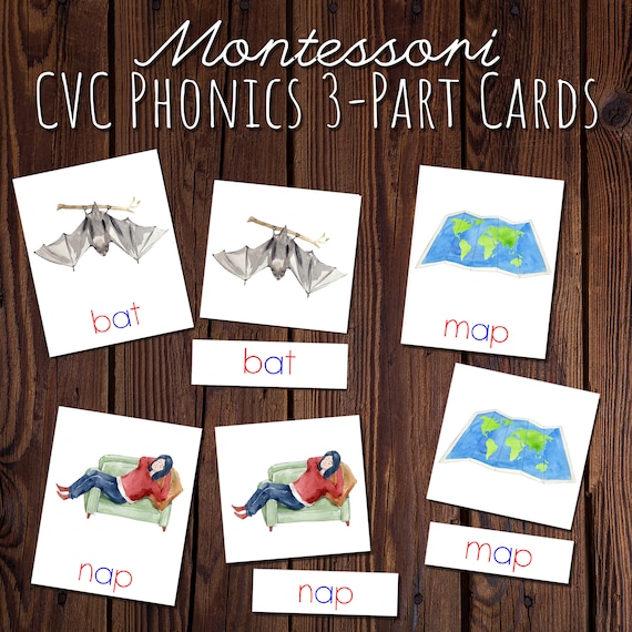 CVC Words Phonics 3 Part Cards Montessori and Charlotte - Etsy