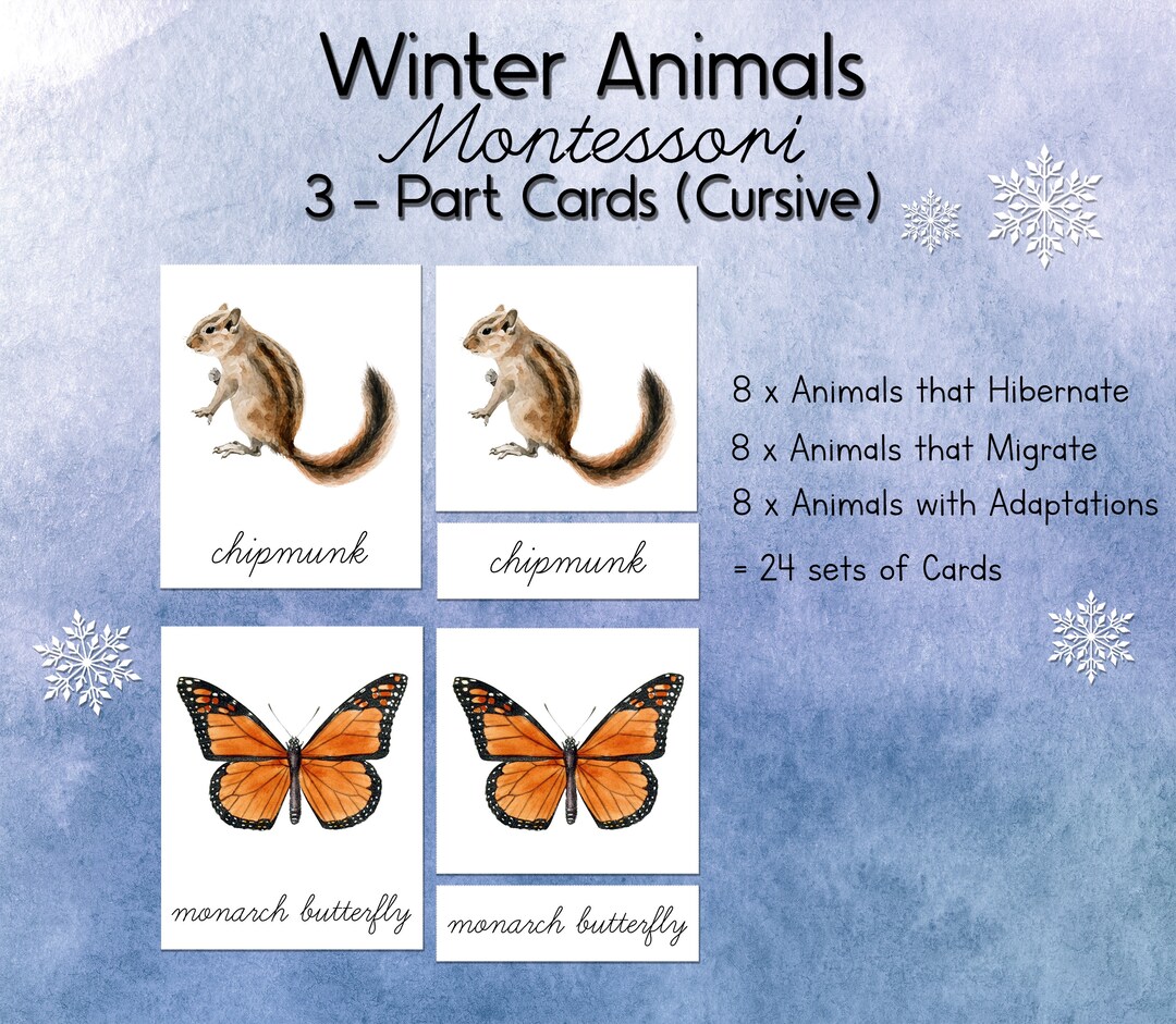 CURSIVE Winter Animals Montessori 3 Part Cards | Charlotte Mason ...