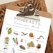Nature Scavenger Hunt | Printable Outdoor Treasure Hunt for Kids ...
