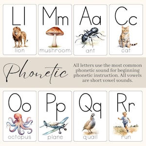 Alphabet With Pictures Flash Cards, Printable Phonetic Alphabet ...