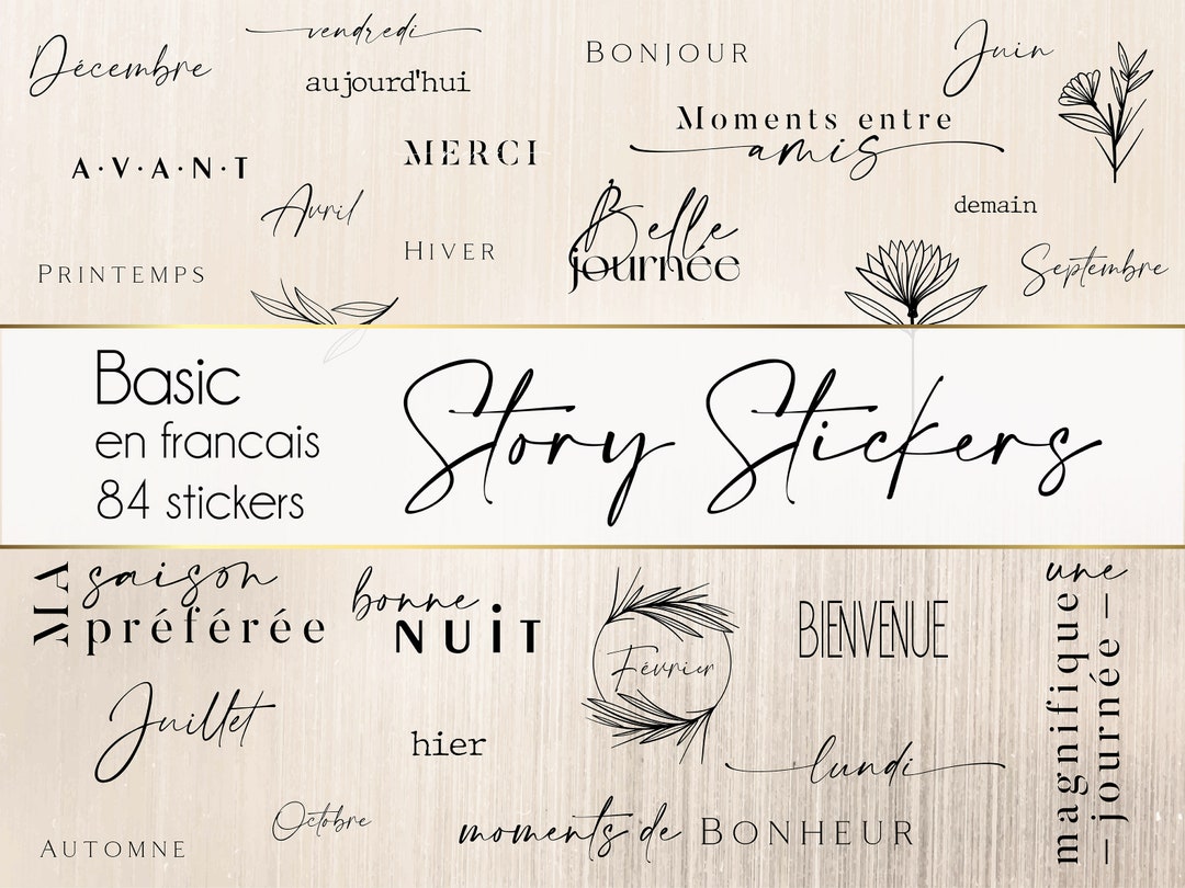 Basic French Stickers for Instagram Stories or Digital Planner, Instant ...