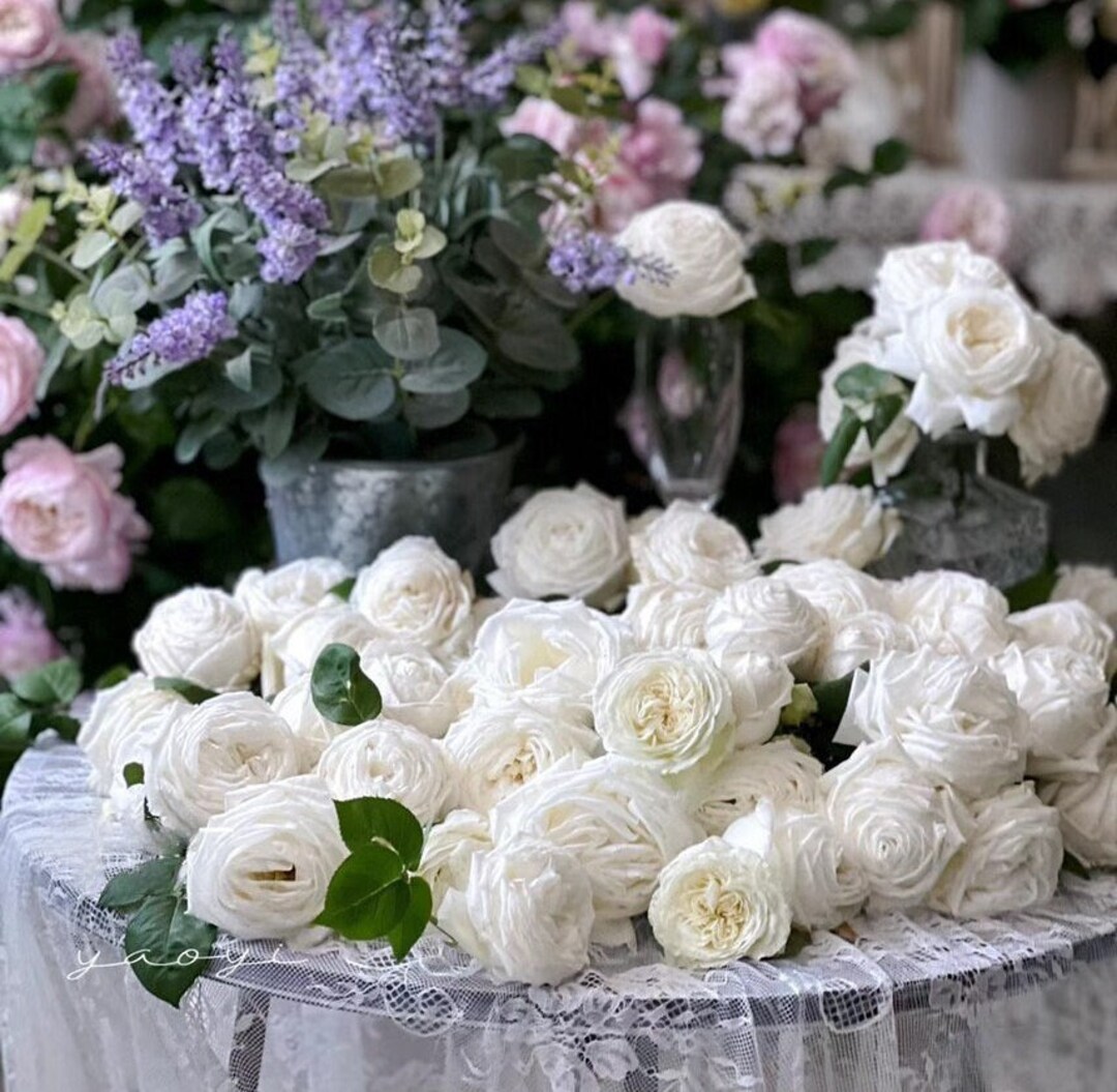 Yves Rose 【wedding Road | "cloche De Mariage" | クロッシュドマリアージュ】| Strong ...
