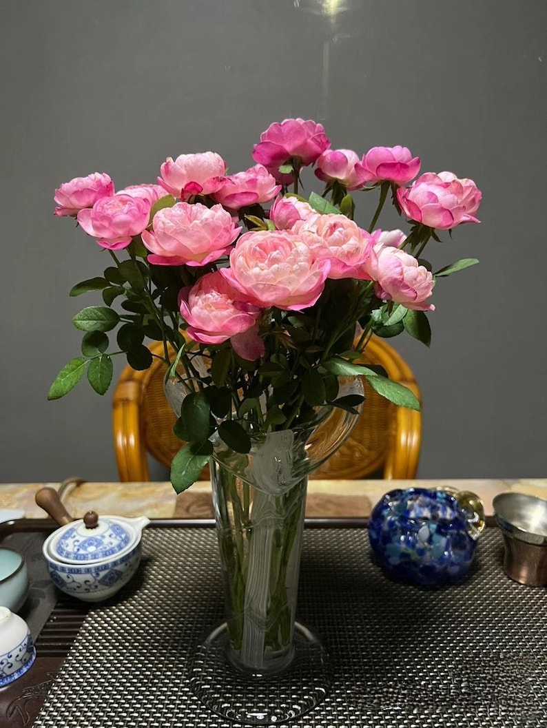Rose【japanese Mon Amou |和室】-ownroot- 1.5gal | Redolent| Heat Tolerant ...