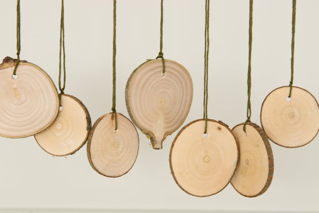 25 Branch Discs, Ø 4 5 Cm, Maple Discs for DIY Projects for Crafts ...