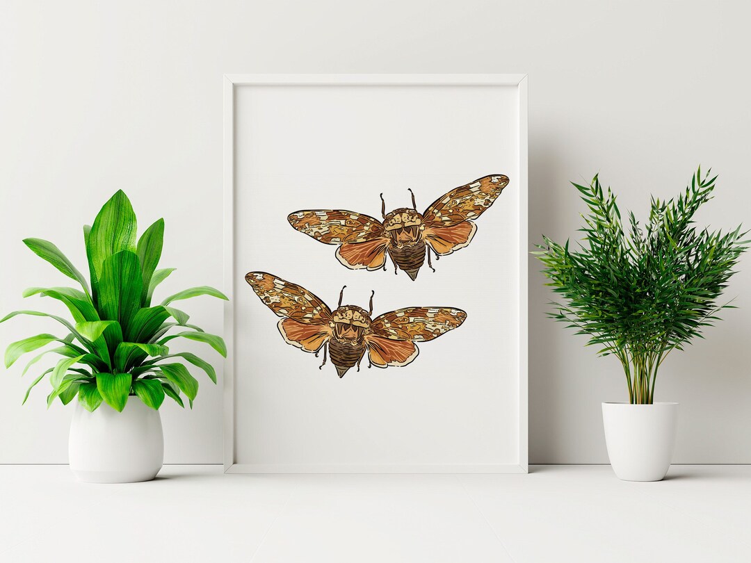 Cicada Poster, Cicada Gift, Cicada Present, Cicada Gifts Idea, Cicada ...
