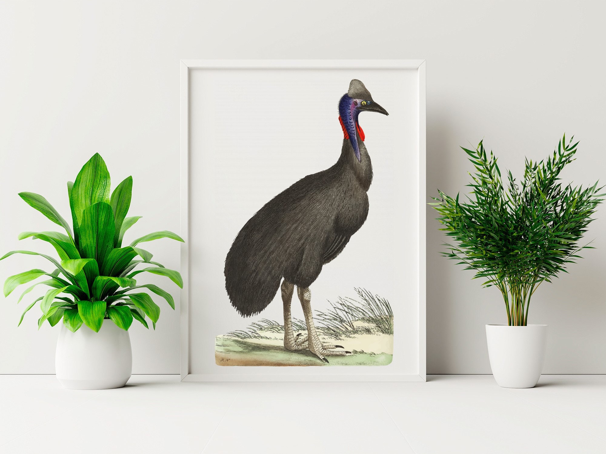 Emu Poster, Emu Gift, Emu Present, Emu Gifts Idea, Emu Print, Emu Wall ...