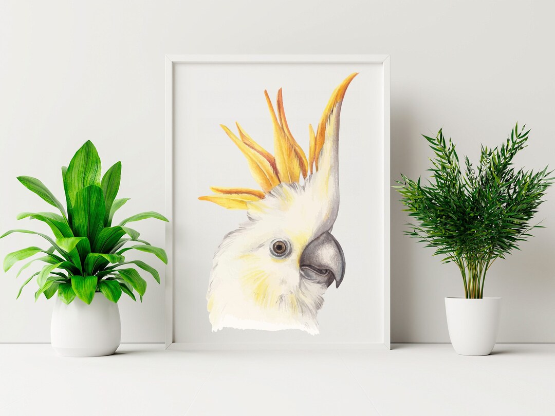 Cockatoo Poster, Cockatoo Gift, Cockatoo Present, Cockatoo Gifts Idea ...