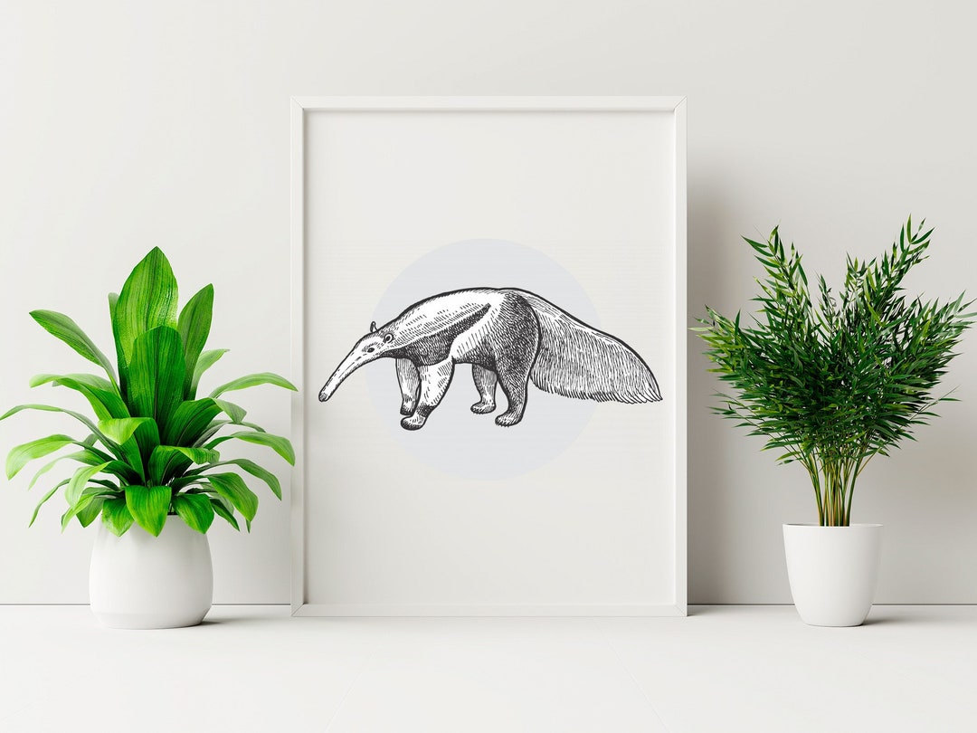 Anteater Poster, Anteater Gift, Anteater Present, Anteater Gifts Idea ...
