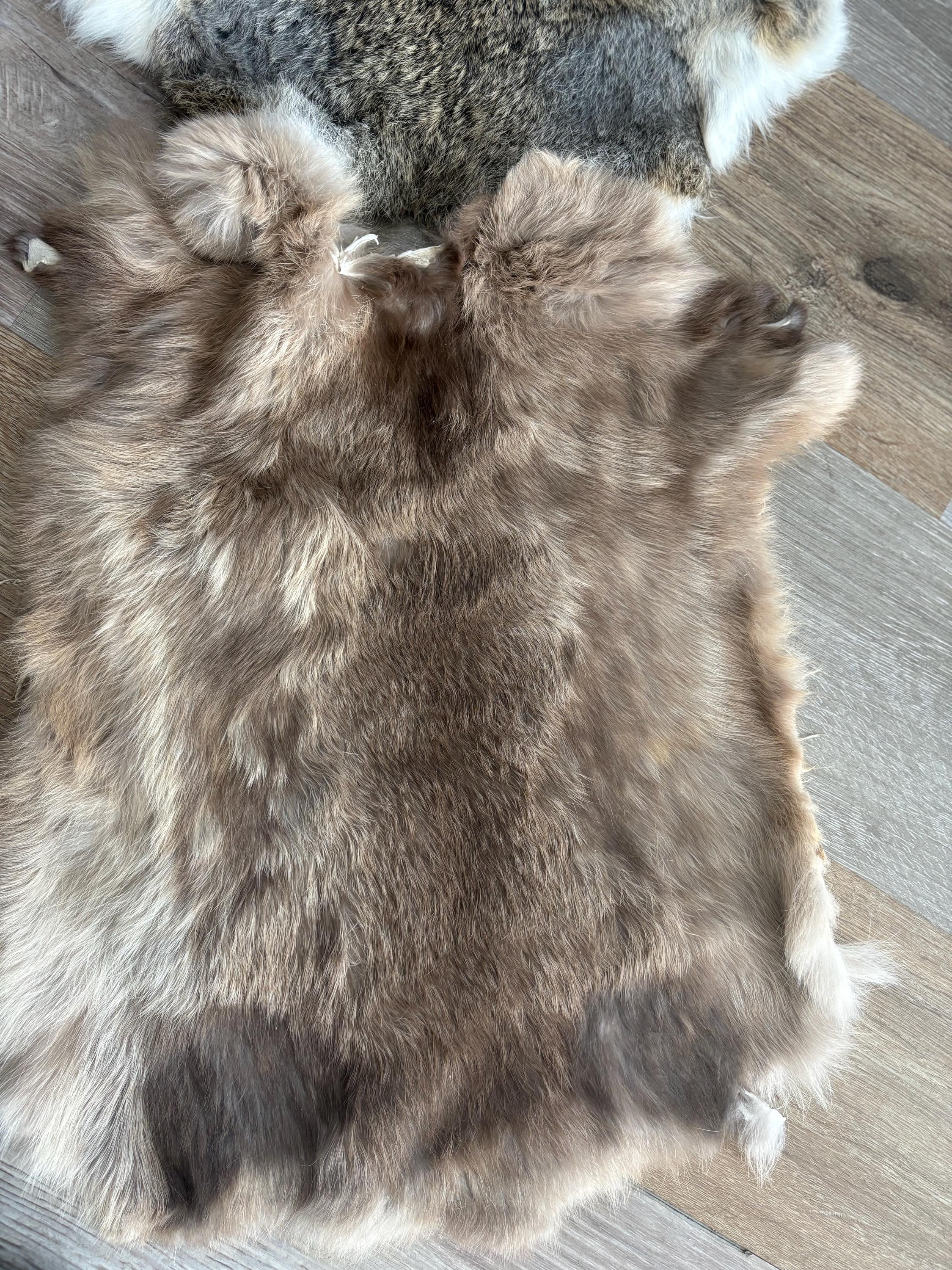 Rabbit Fur Rabbit Skin Random Assorted Colors - Etsy