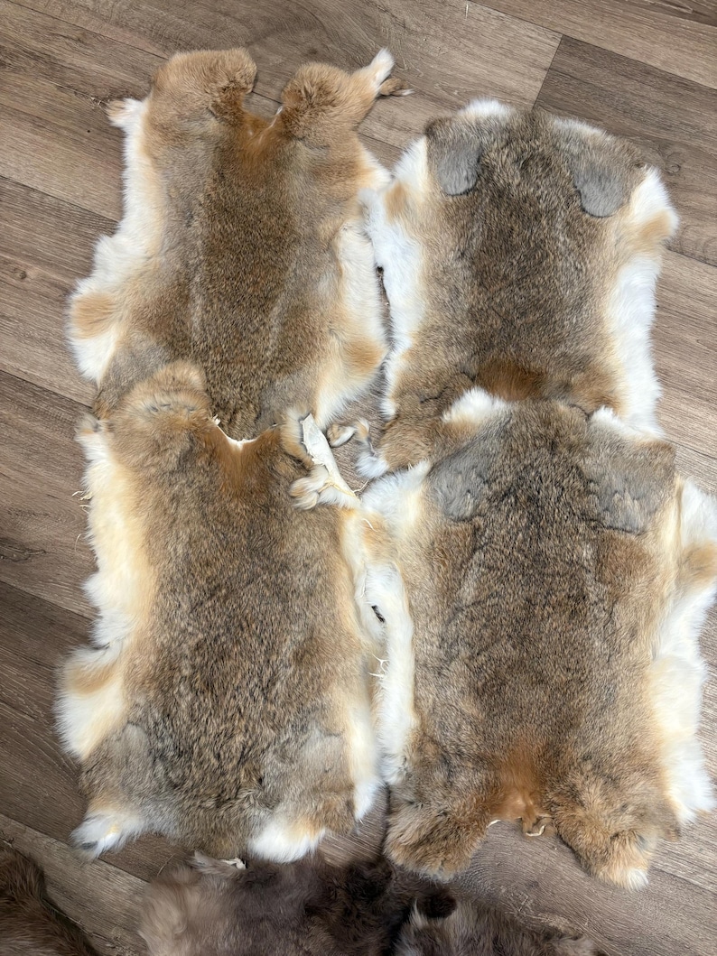 Rabbit Fur Rabbit Skin Random Assorted Colors - Etsy