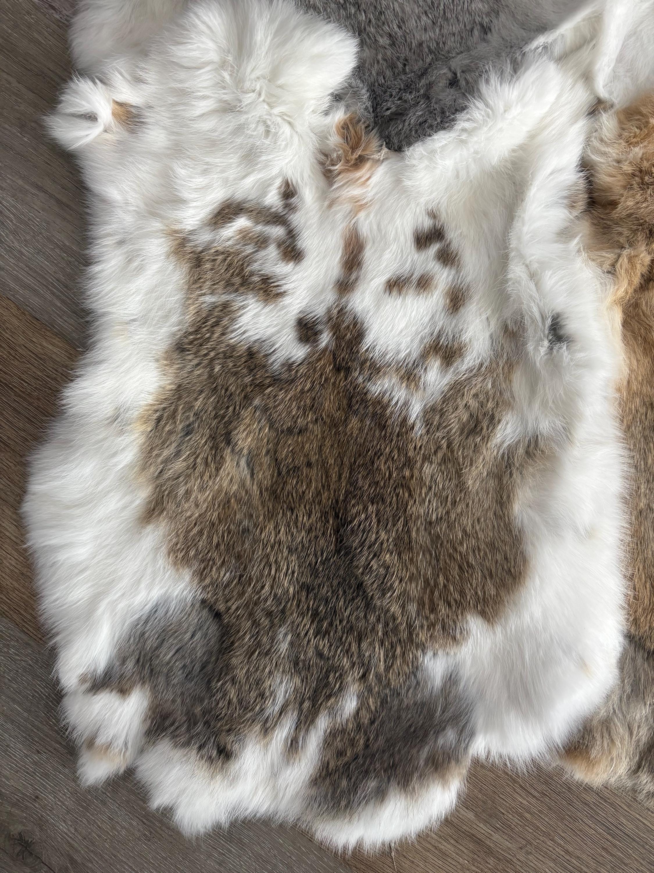 Rabbit Fur Rabbit Skin Random Assorted Colors - Etsy