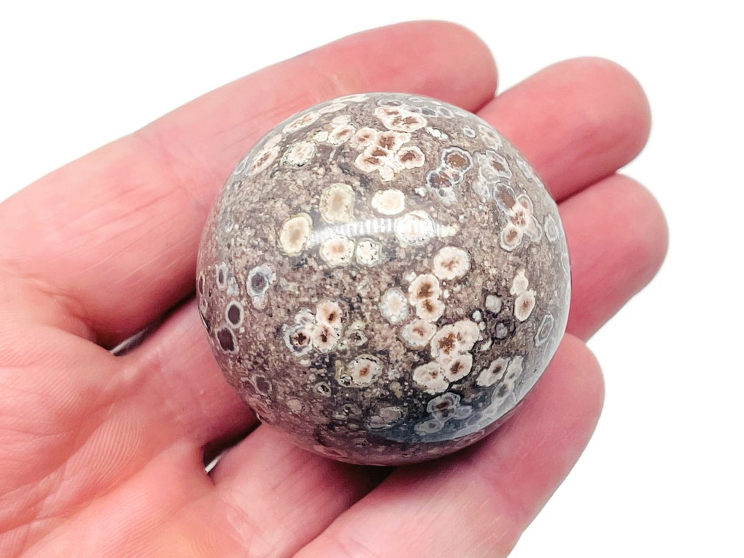 Fossil Coral Sphere Stone A Crystal Ball Healing Crystal Stones Crystal ...