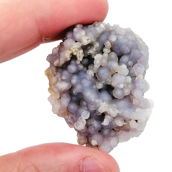 Grapes - Etsy