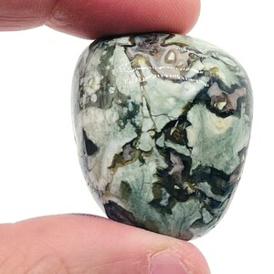 Green Rhyolite Tumbled Stone - Rainforest Crystal - Rhyolite Crystal ...