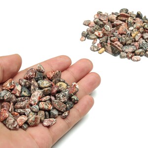 Leopard Skin Jasper Chips – Gemstone Chips – Crystal Semi Tumbled Chips ...