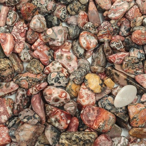 Leopard Skin Jasper Chips – Gemstone Chips – Crystal Semi Tumbled Chips ...