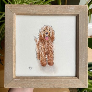 Cockapoo Watercolour Painting Original Hand Painted Framed Pet Art - Etsy