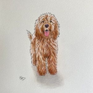 Cockapoo Watercolour Painting Original Hand Painted Framed Pet Art - Etsy