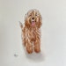 Cockapoo Watercolour Painting Original Hand Painted Framed Pet Art - Etsy