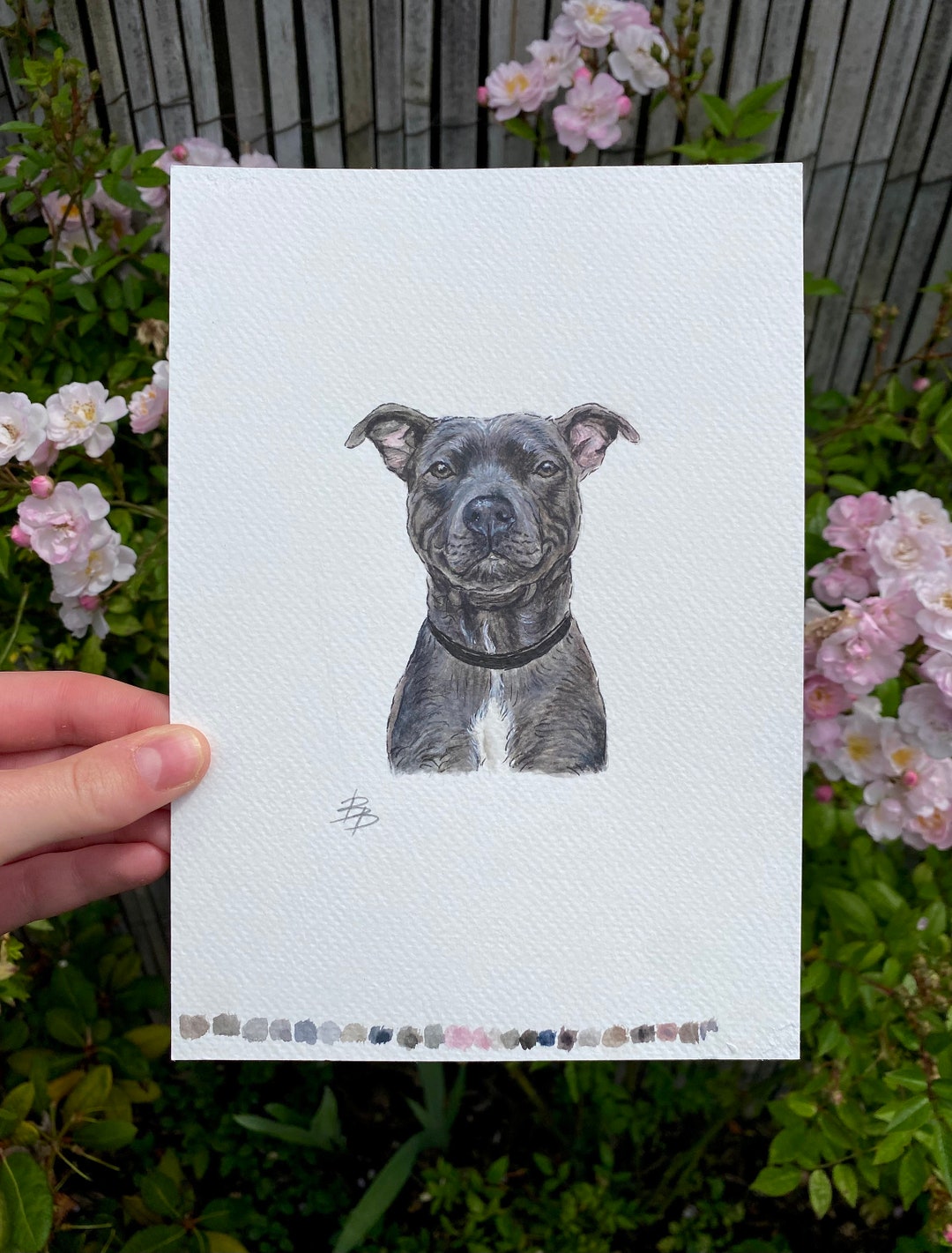 Original Staffy Watercolour Painting Staffordshire Bull Terrier Artwork ...