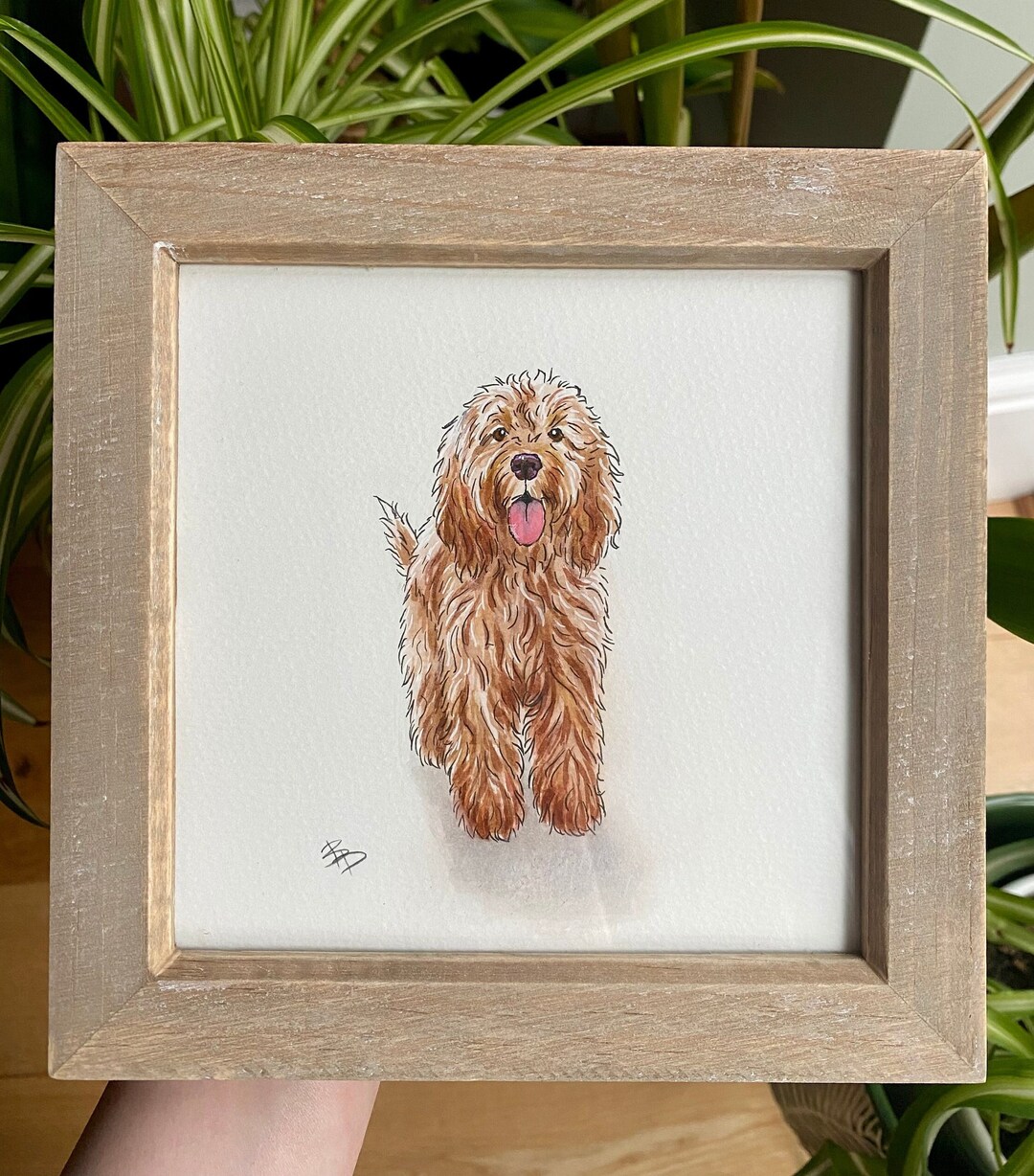 Cockapoo Watercolour Painting Original Hand Painted Framed Pet Art - Etsy
