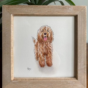 Cockapoo Watercolour Painting Original Hand Painted Framed Pet Art - Etsy