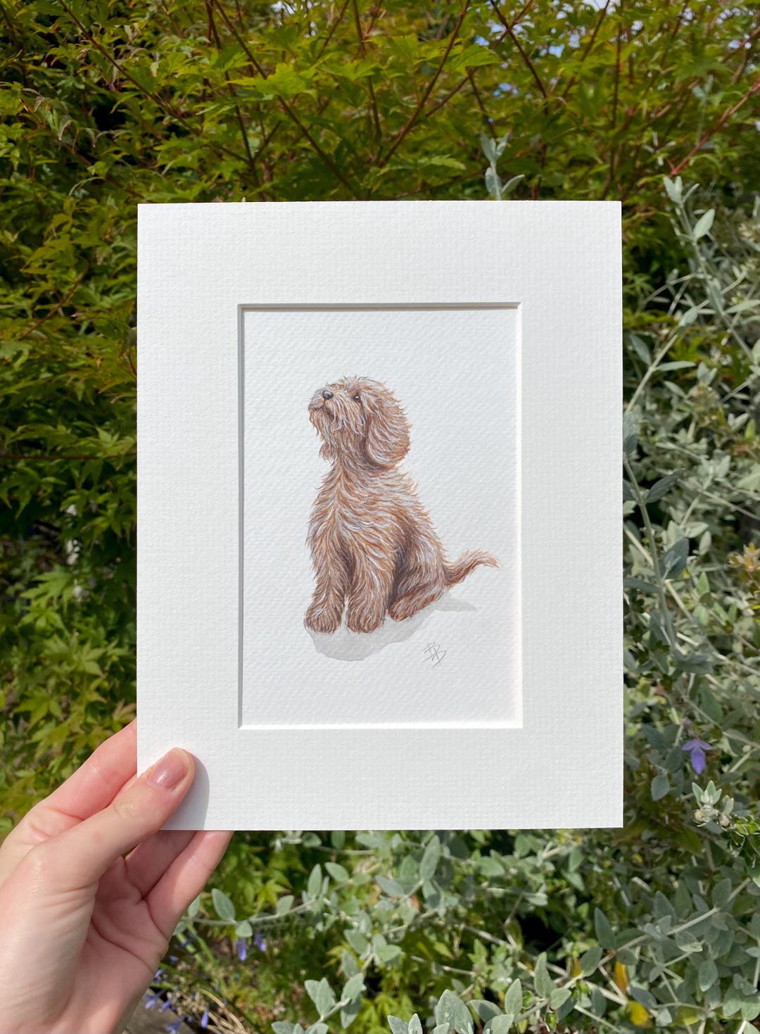 Original Cockapoo Watercolour Painting Cockapoo Cavapoo Artwork ...