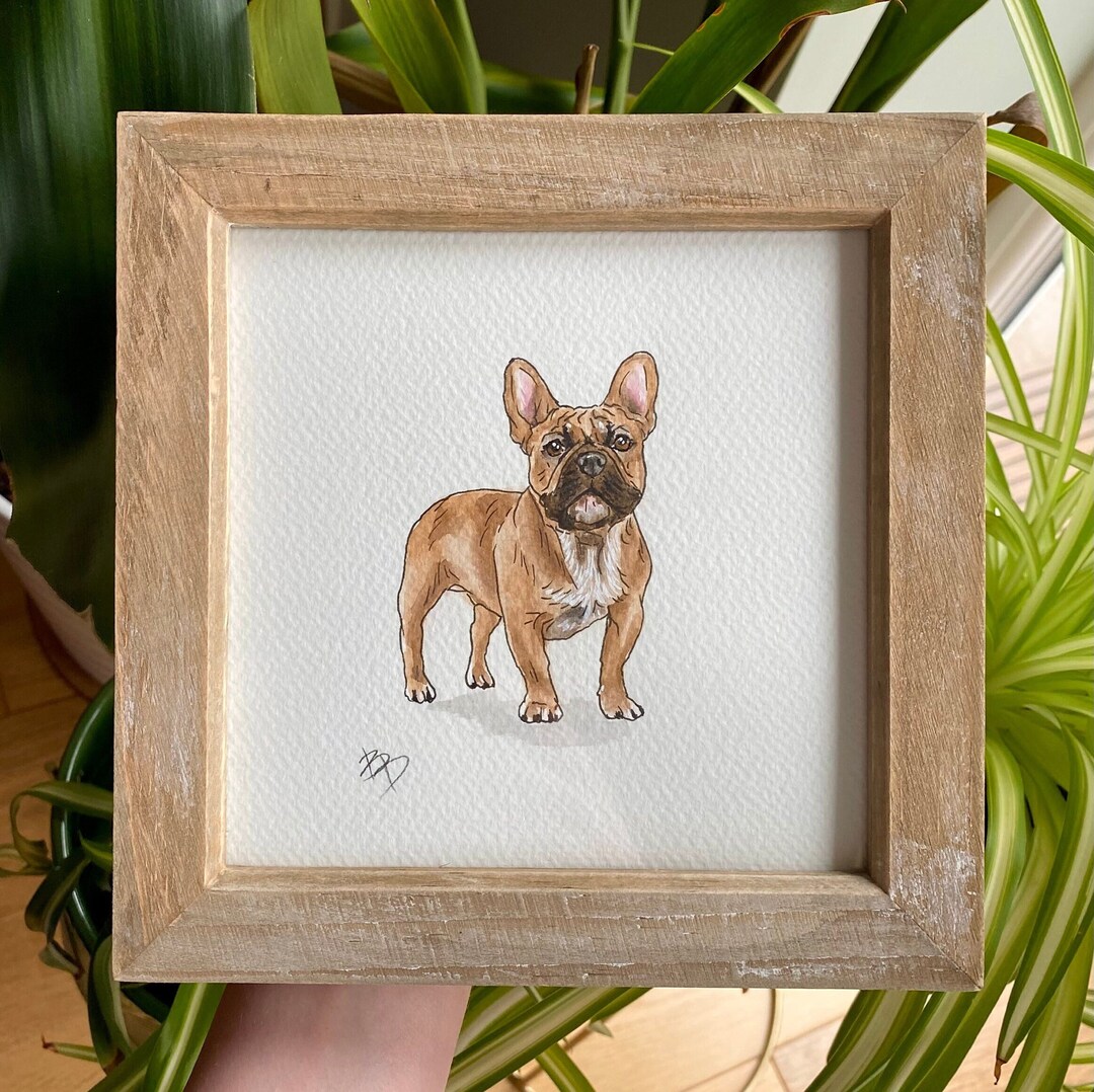 French Bulldog Watercolour Painting | Frenchie Framed Art | Handmade - Etsy