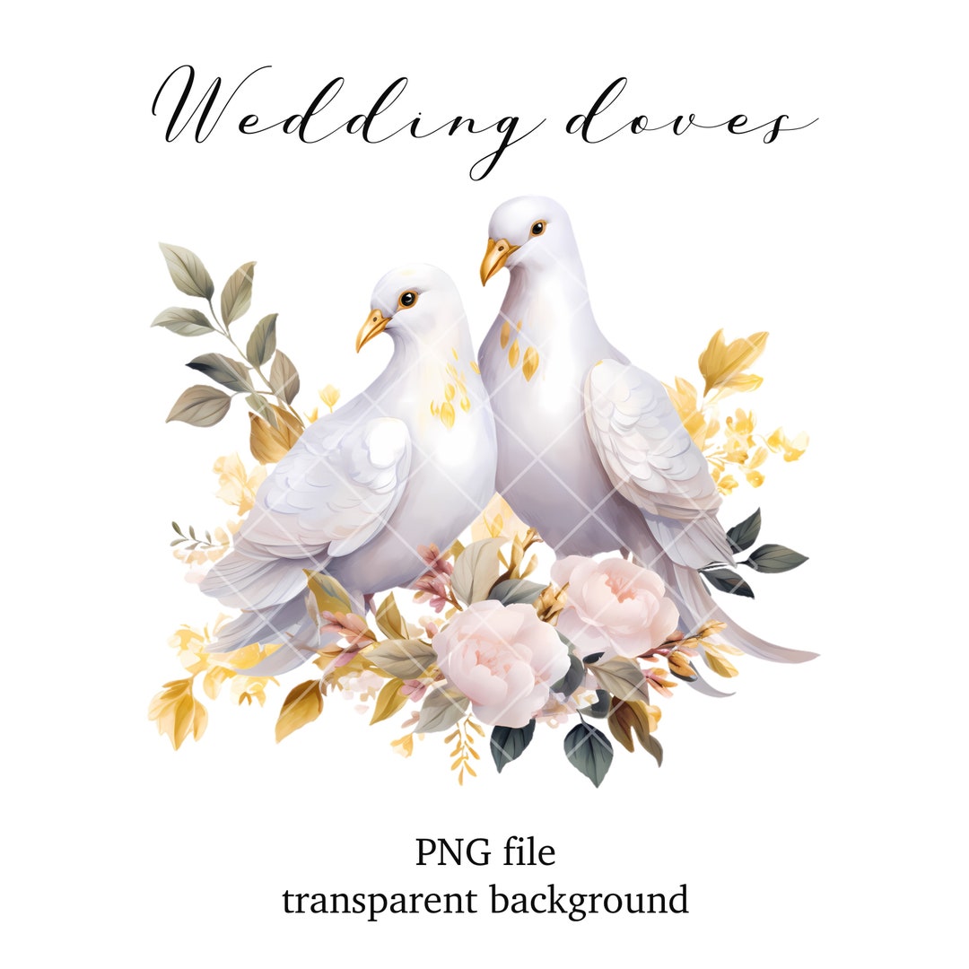 Wedding Doves PNG, Dove Clipart, Pigeon PNG, Romantic Dove, Wedding ...