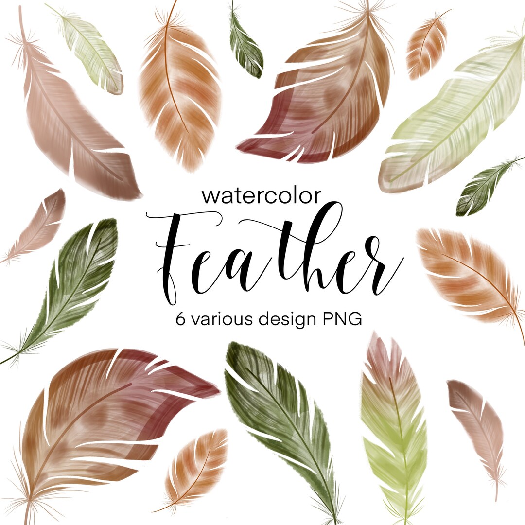 Watercolor Feathers Clipart | Painted Feathers | PNG | Digital Files ...
