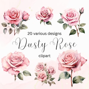 Dusty Rose Clipart, Dusty Rose Images, Watercolor Rose, Rose Design ...