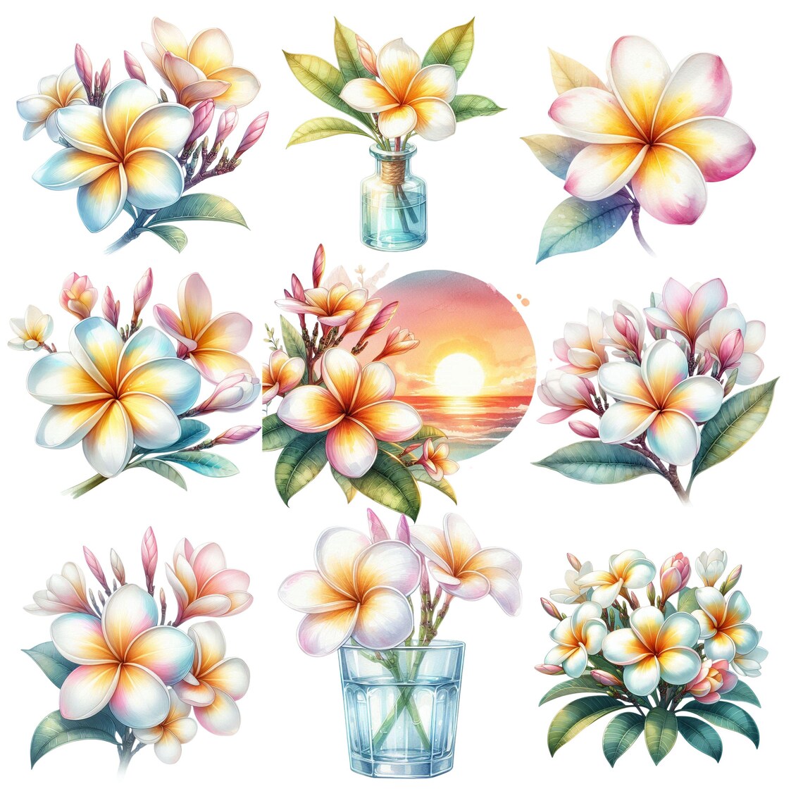 Watercolor Plumeria Clipart Set, PNG Summer Flowers Clipart, Plumeria ...