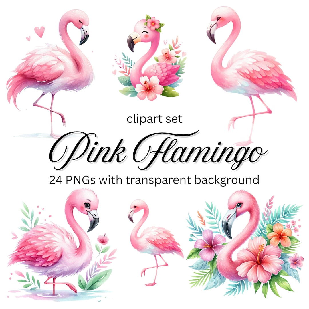 Pink Flamingo Clipart Set, Watercolor Flamingo, Cute Flamingo Images ...