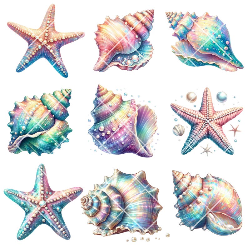 Watercolor Seashell Clipart Set, PNG Iridescent Seashell Clipart ...