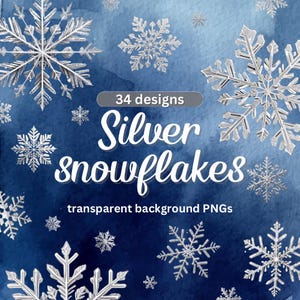 Silver Snowflake PNG, Glitter Snowflakes PNG, Snowflake Clipart, Frozen ...
