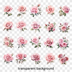 Dusty Rose Clipart, Dusty Rose Images, Watercolor Rose, Rose Design ...
