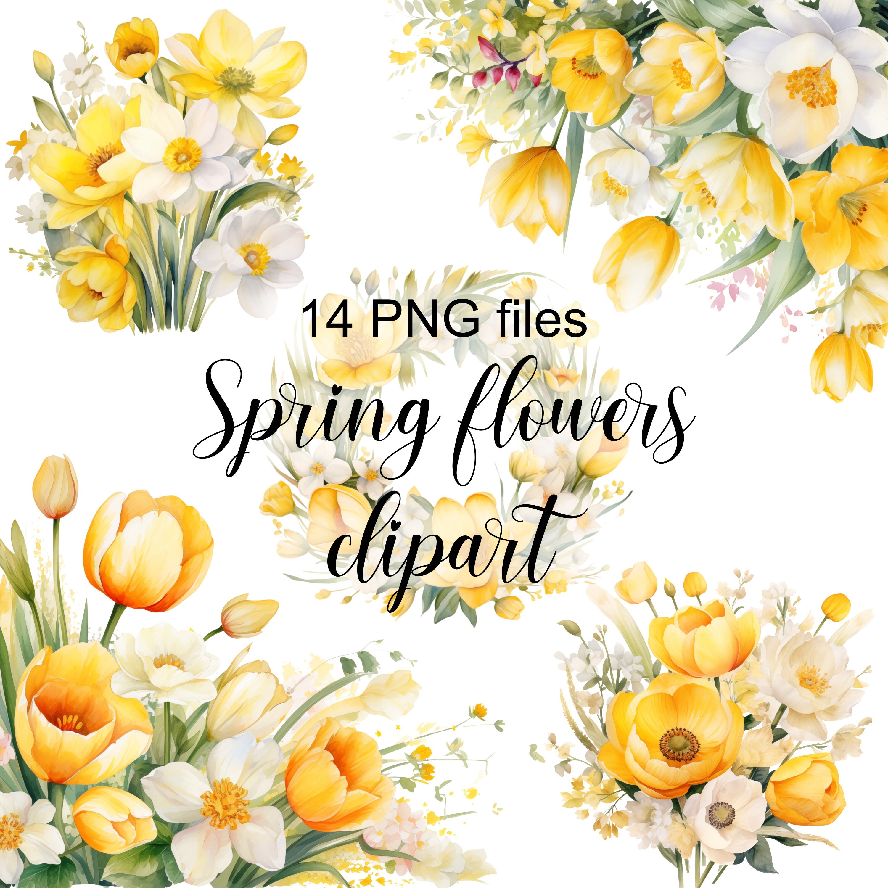 Watercolor Spring Floral Clipart, White and Yellow Flowers, Flowers PNG ...