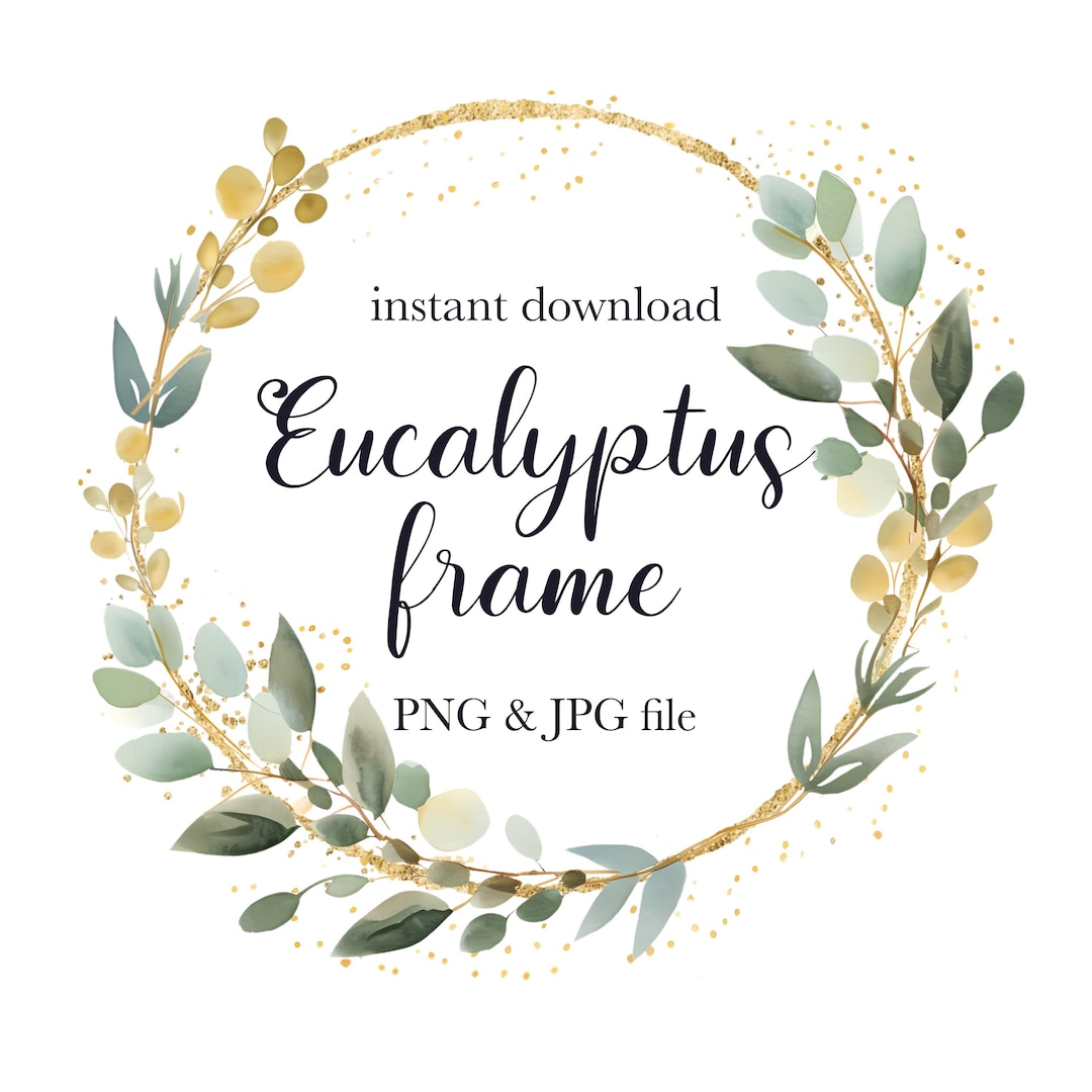 Eucalyptus PNG, Eucalyptus Gold Frame PNG, Eucalyptus Wreath PNG ...