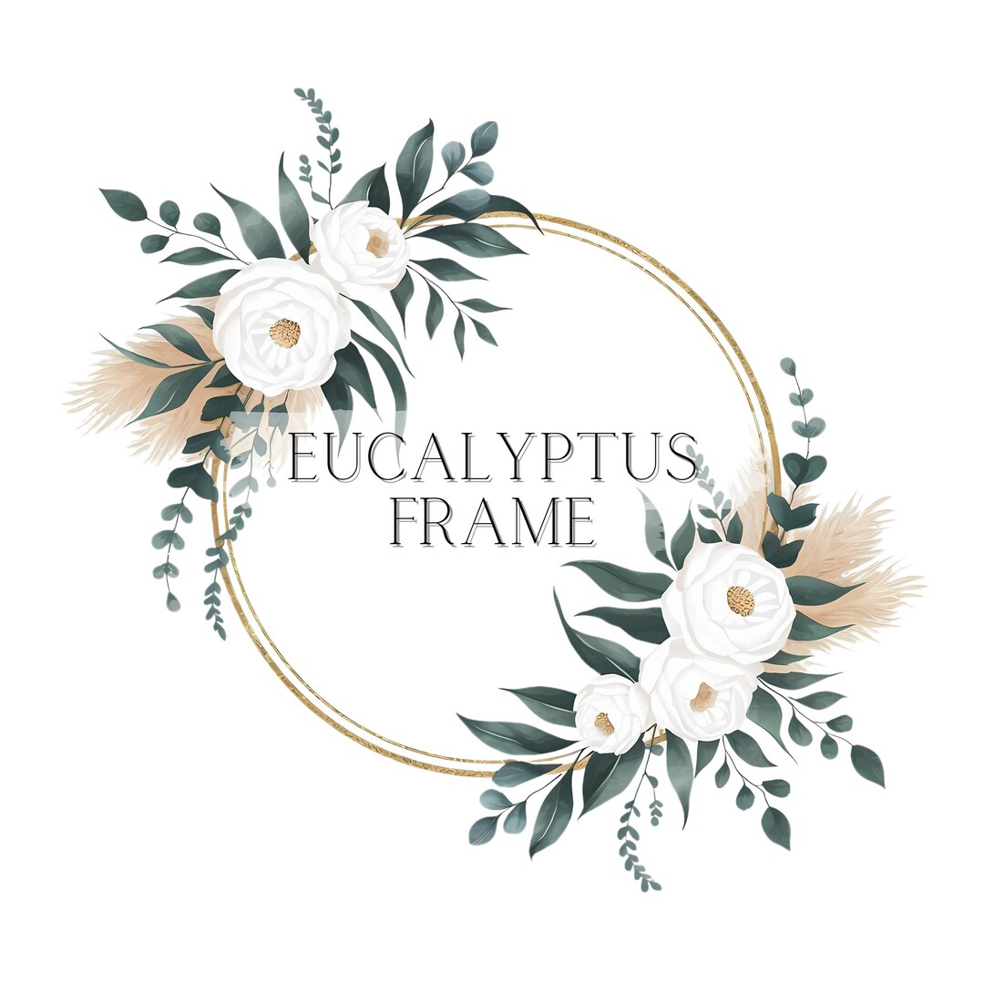 Eucalyptus PNG, Eucalyptus Gold Frame PNG, Eucalyptus Wreath PNG ...