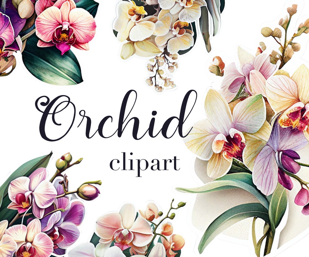 Orchid Clipart, Orchid PNG, Orchid Digital Stickers, Orchid ...