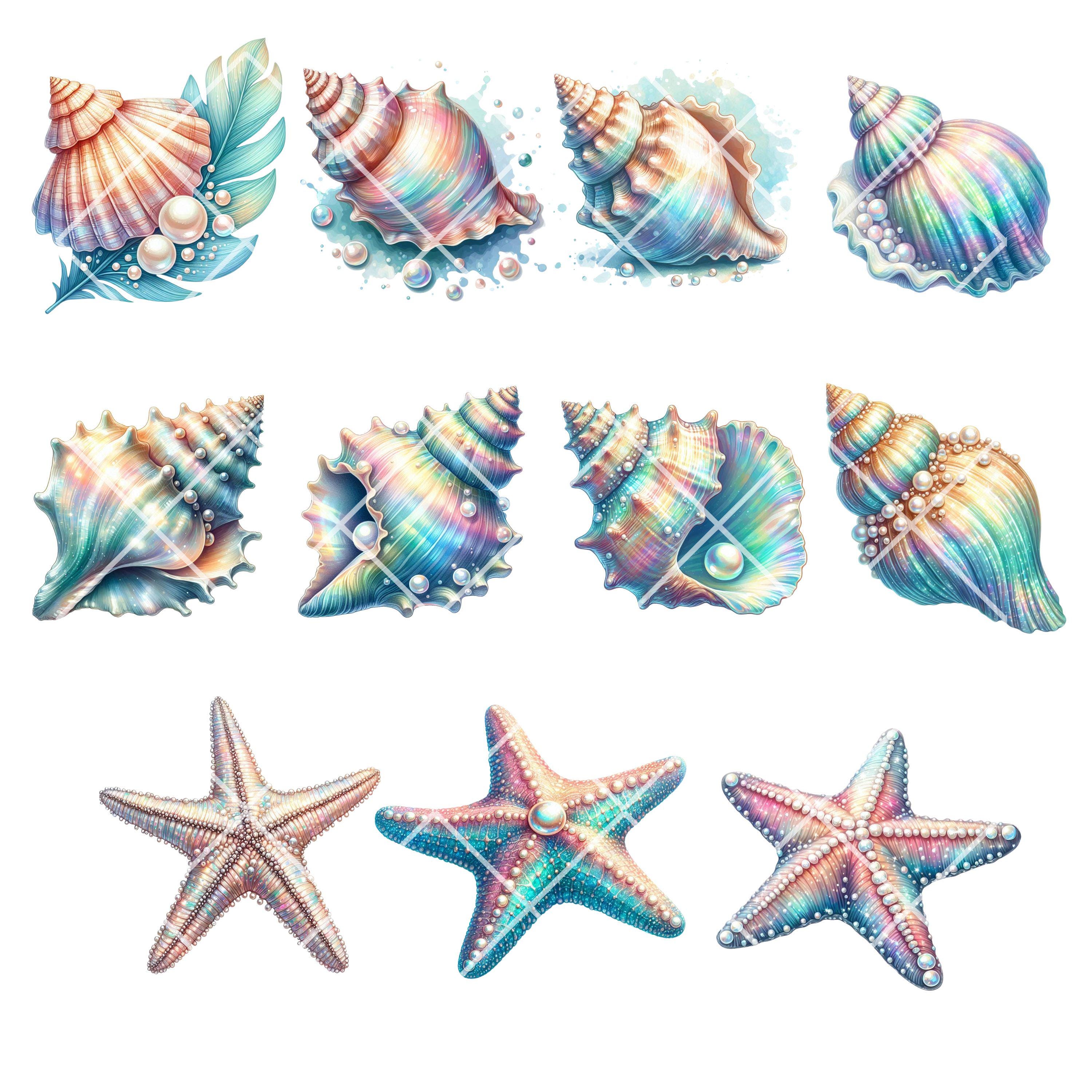 Watercolor Seashell Clipart Set, PNG Iridescent Seashell Clipart ...