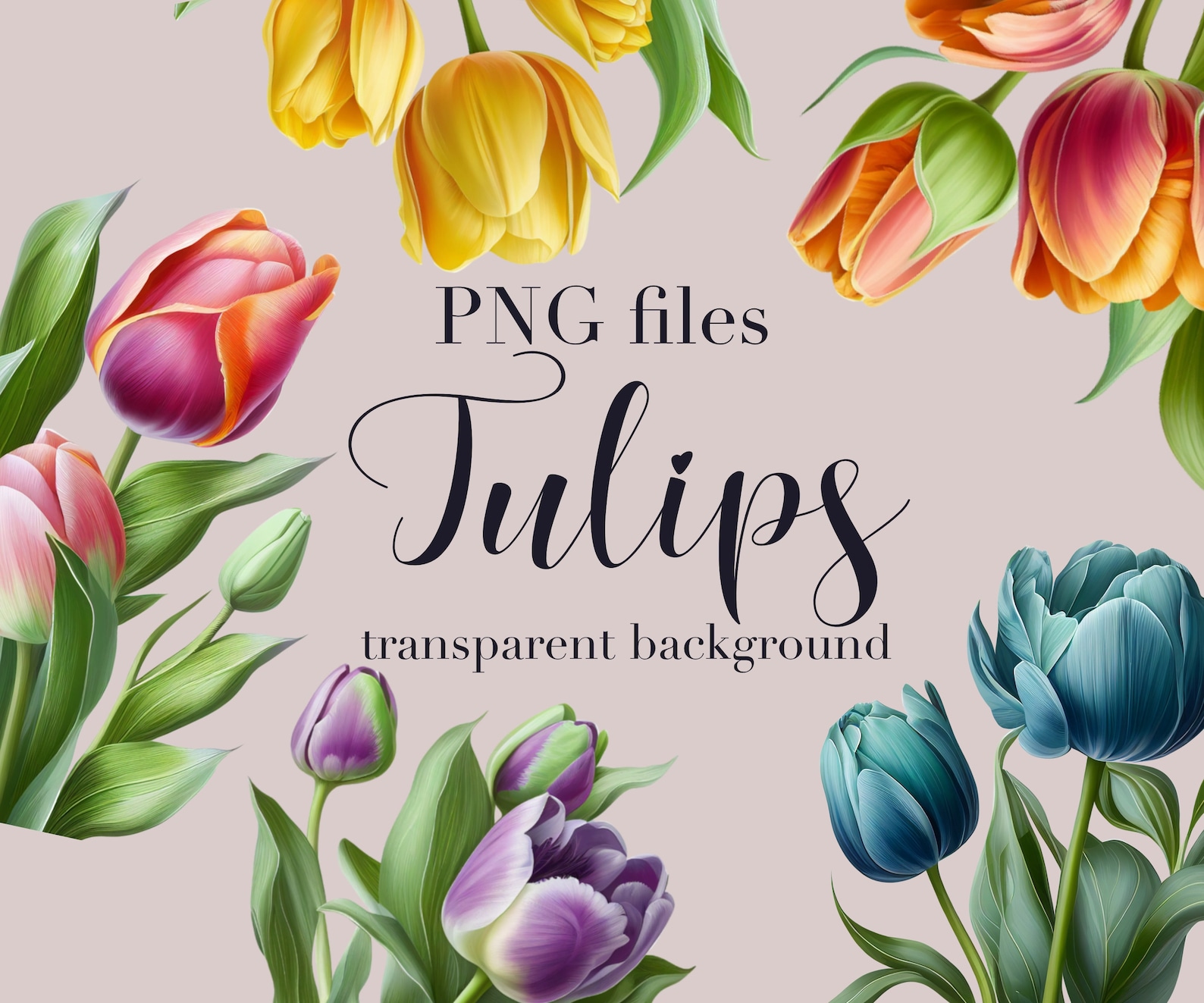 Tulip Clipart, Tulip PNG, Watercolor Tulips, Tulips Illustration ...