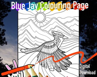 blue jay coloring pages